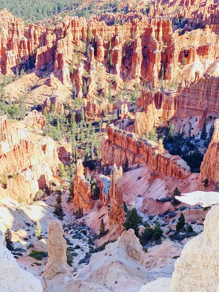 Road Trip To Zion, Bryce, Lake Powell, and Antelope Canyon