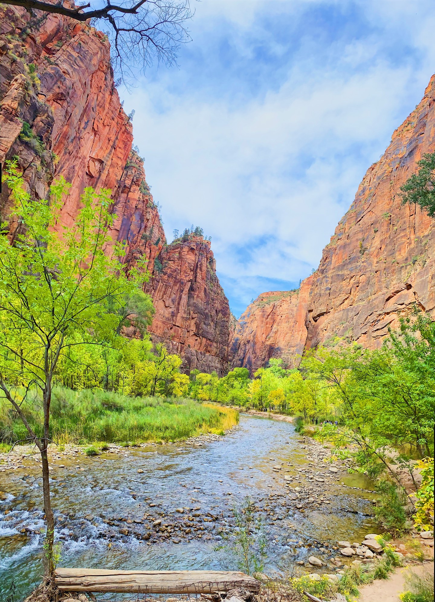 Road Trip To Zion, Bryce, Lake Powell, and Antelope Canyon