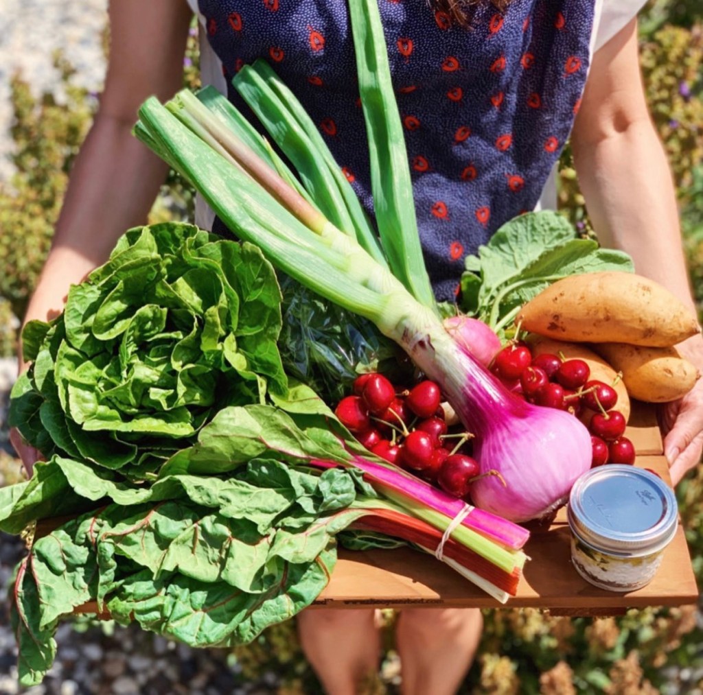 Farm Visits in the Bay Area