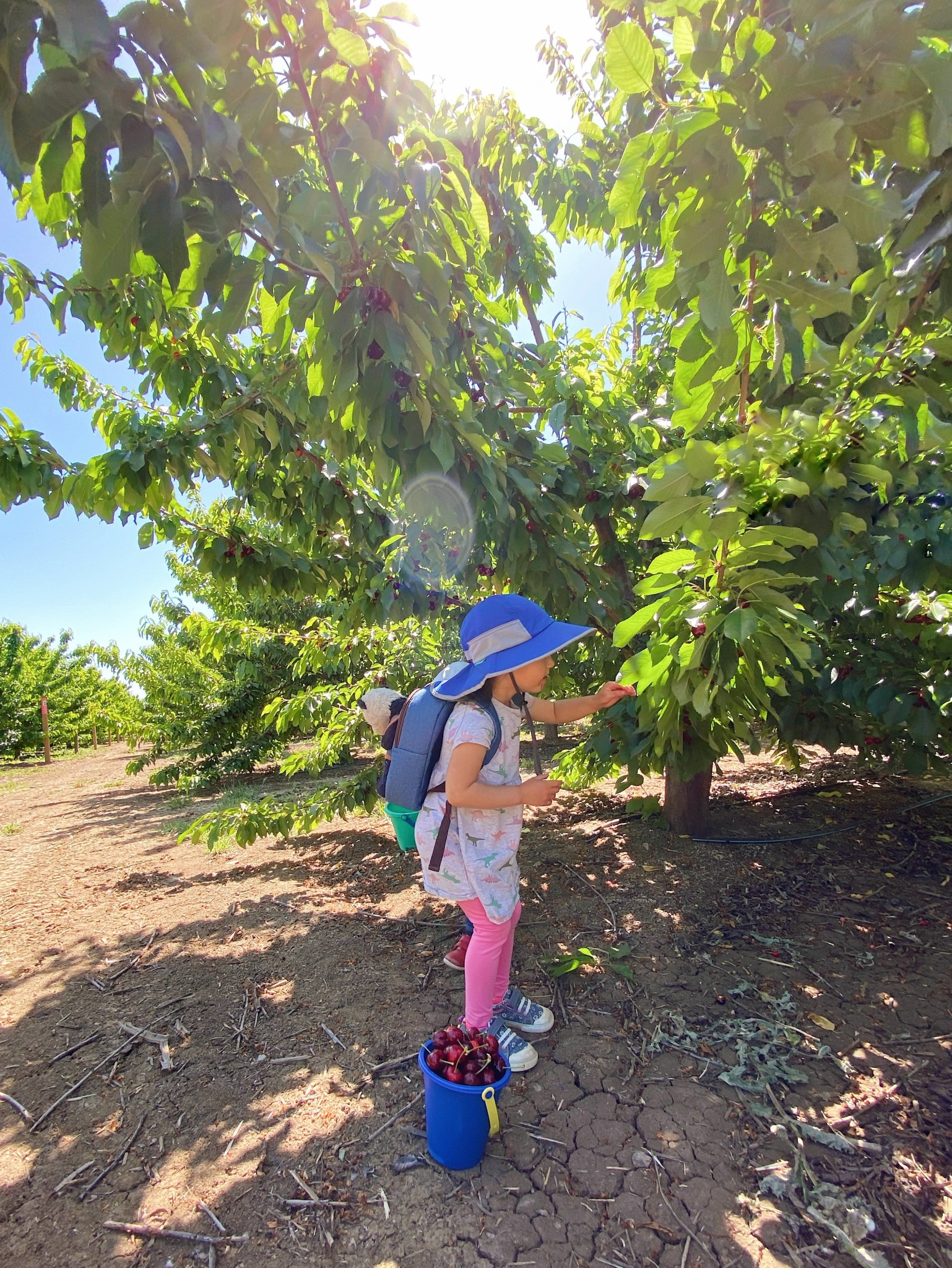Farm Visits in the Bay Area